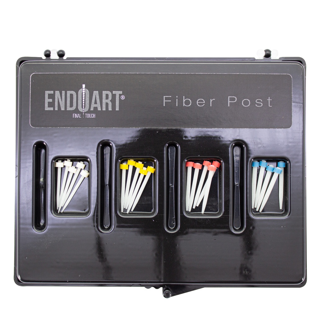 Kit 20 Postes Fibra de Vidrio Fiber post Endoart Incidental | Biotech Chile